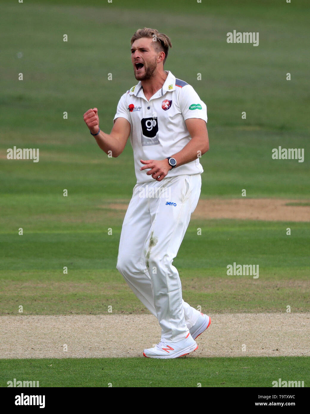 Surreys will jacks hi-res stock photography and images - Alamy