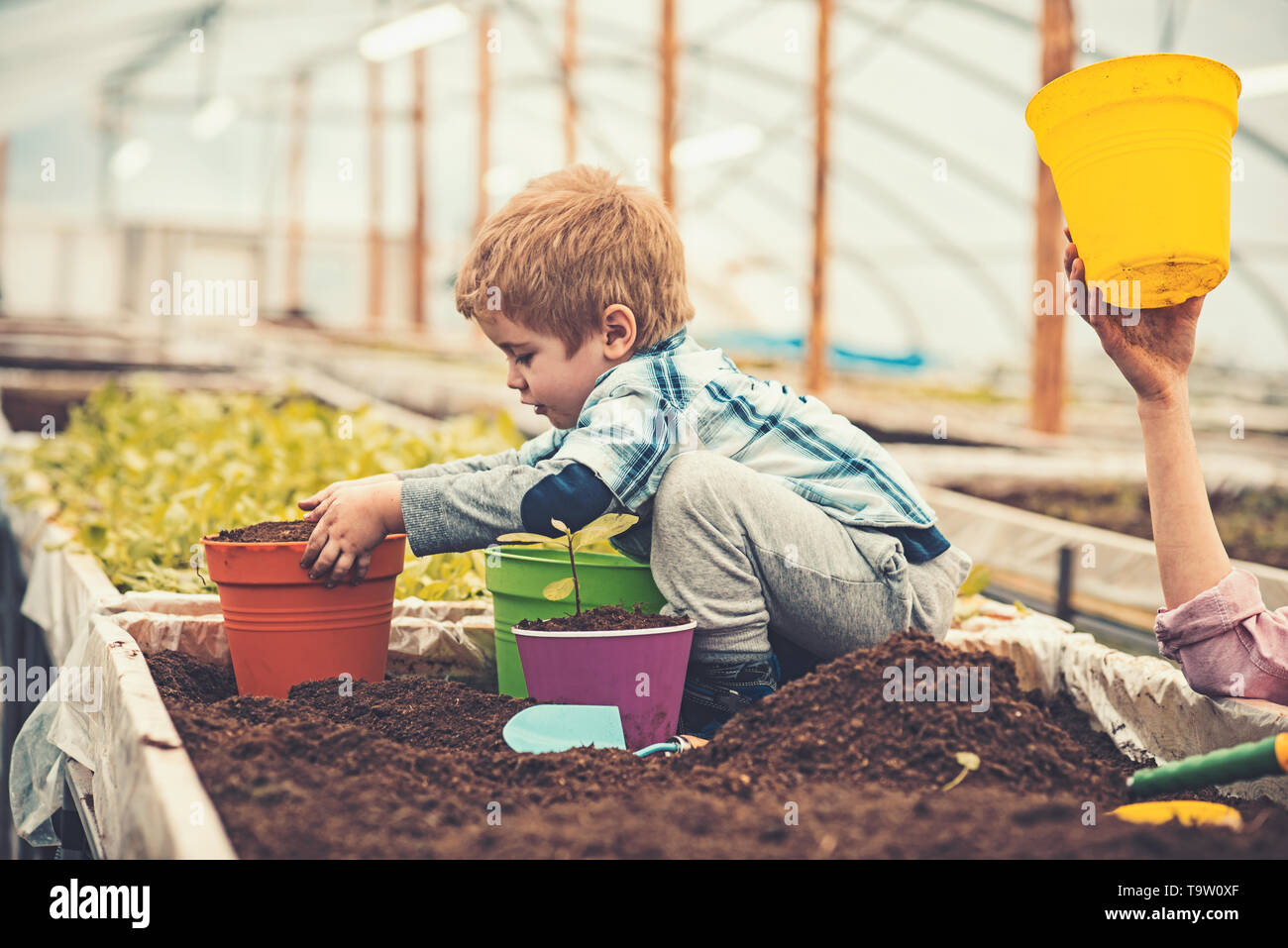 Side view blond kid sitting in box with ground and playing with ...