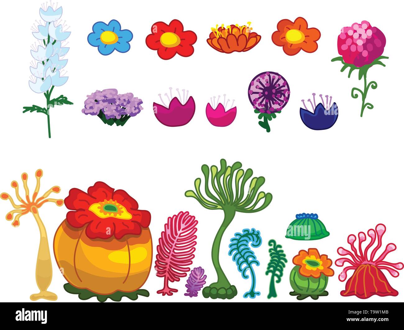 Plant plants wildflowers flower Stock Vector Images - Alamy