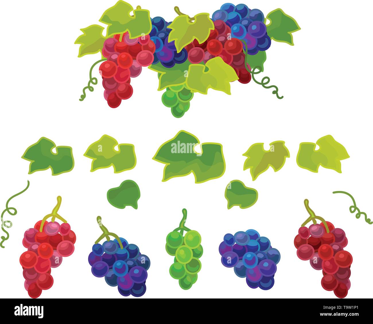 vector cartoon plants nature clip art. Grapevine clusters Stock Vector Image & Art - Alamy