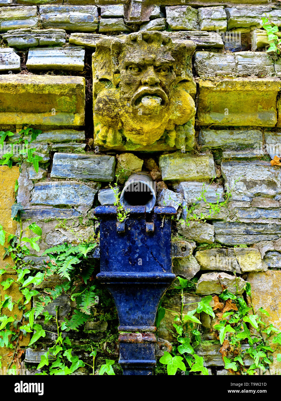 Drain pipe with gargoyle hi-res stock photography and images - Alamy