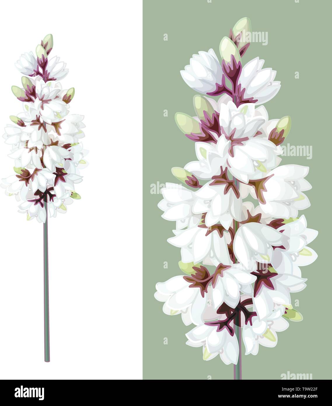 vector cartoon plants nature clip art. blooming yucca Stock Vector ...