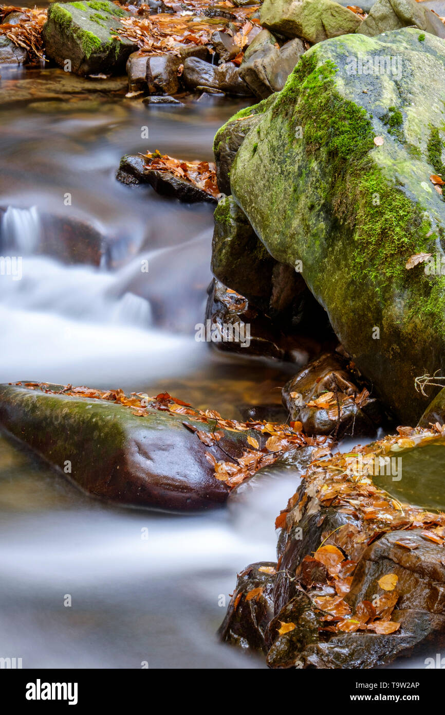 Arce Valley forest. Autumn, Navarre, Spain Stock Photo - Alamy