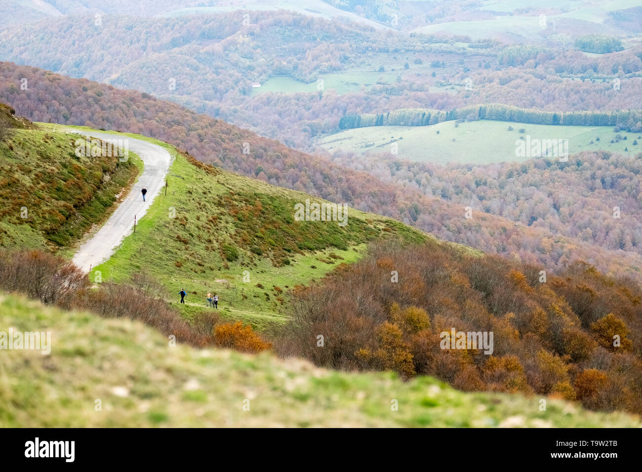 Roncesvalles road hi-res stock photography and images - Alamy