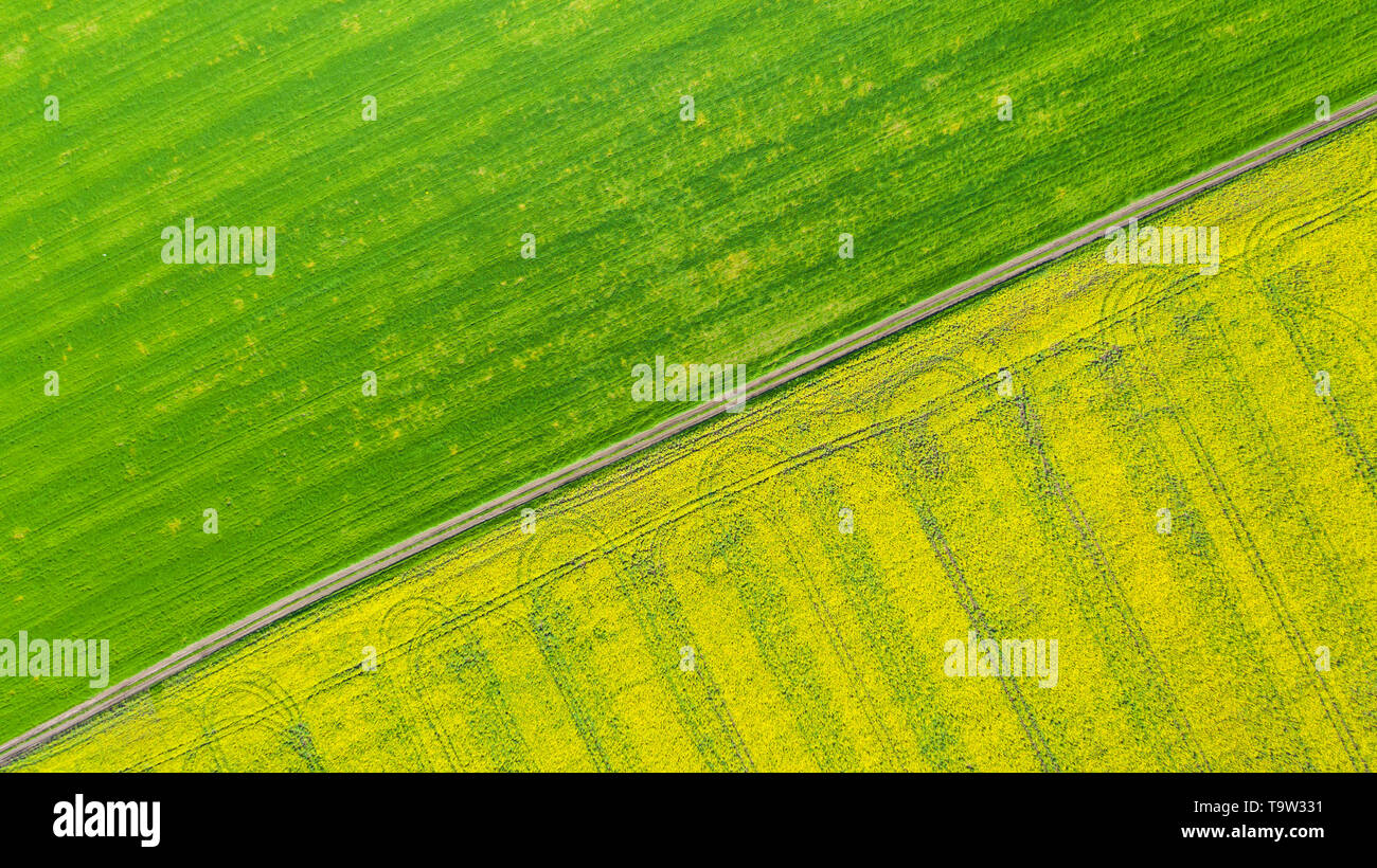 Aerial view of summer fields. Yellow fields from above. Photo captured ...