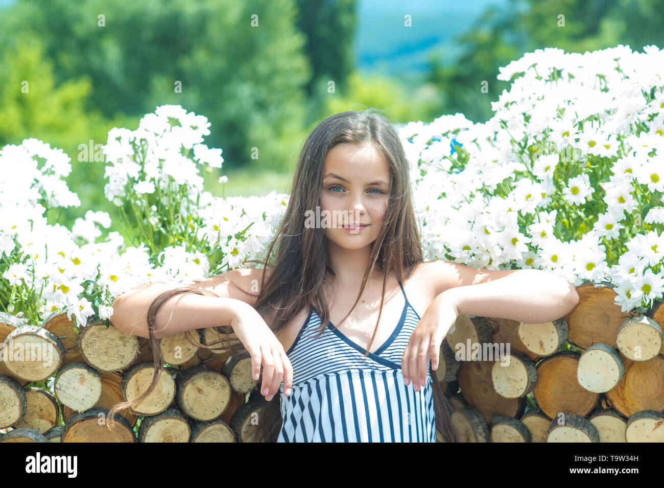 Girl pose with daisy flowers on sunny day, spring Stock Photo - Alamy
