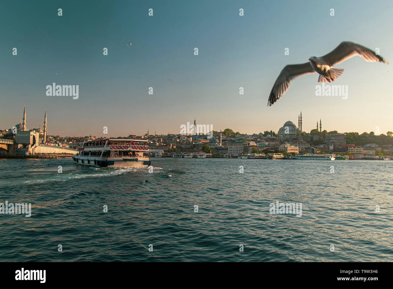 Western part of Istanbul panorama during evening Stock Photo - Alamy