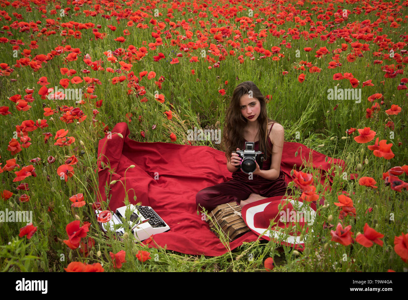 Poppy, Remembrance or Anzac Day Stock Photo - Alamy
