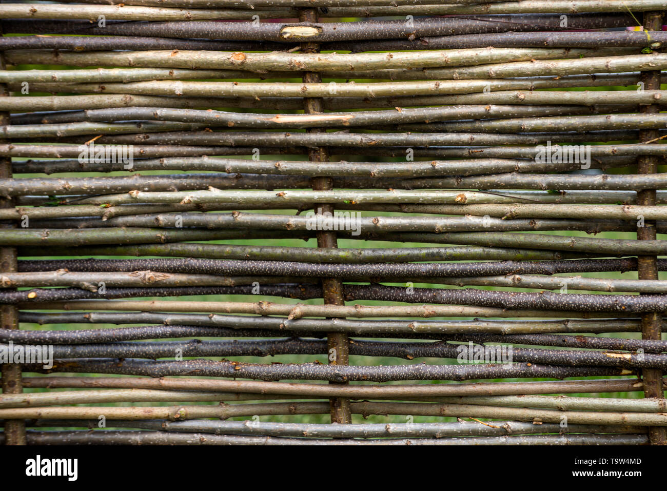 Natural tree trunk texture Stock Photo - Alamy