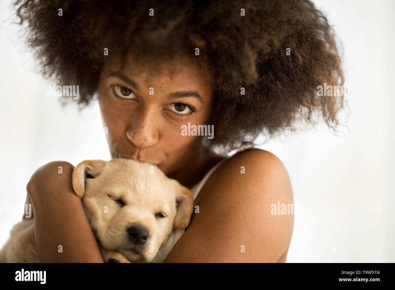 Young woman kissing her Labrador puppy Stock Photo - Alamy