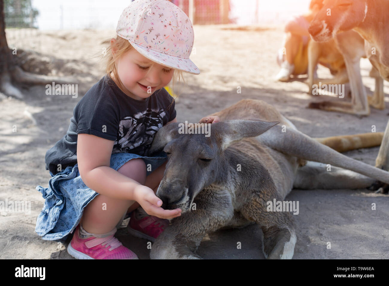 Australia kangaroo girl hi-res stock photography and images - Alamy