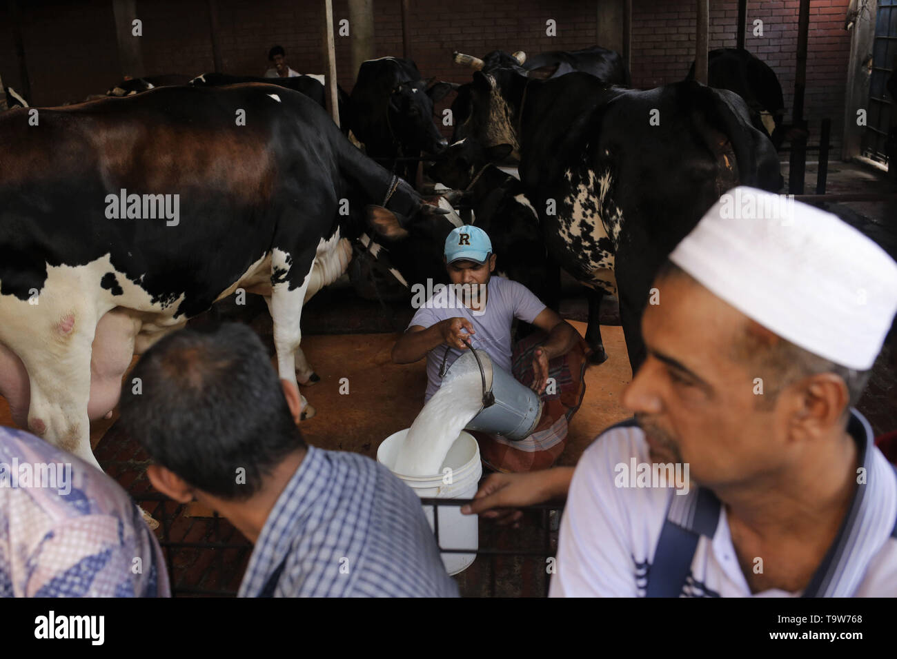 Dhaka, bangladesh. 20th May, 2019. A worker gathers milk as customers ...