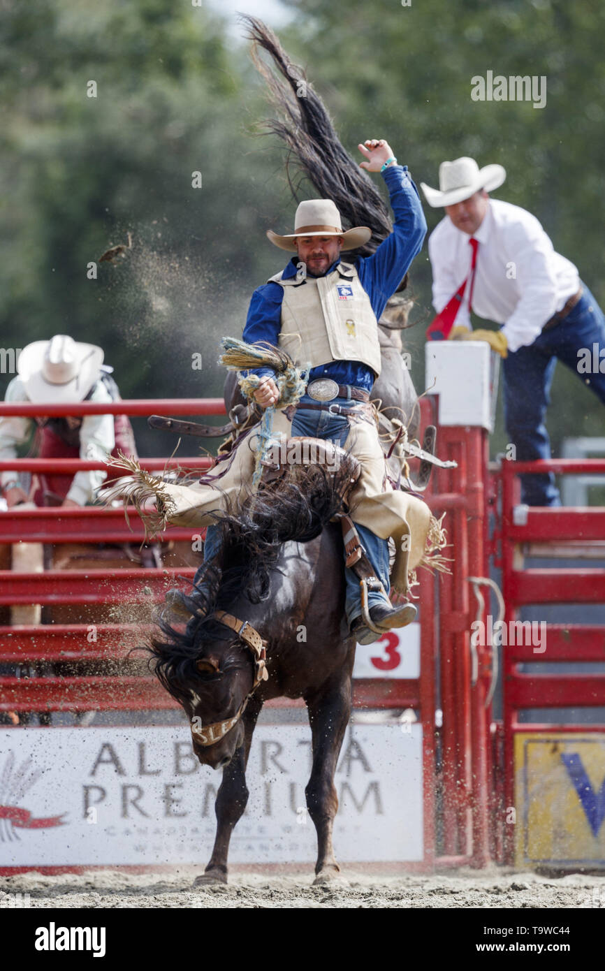 The bronc wins hi-res stock photography and images - Alamy
