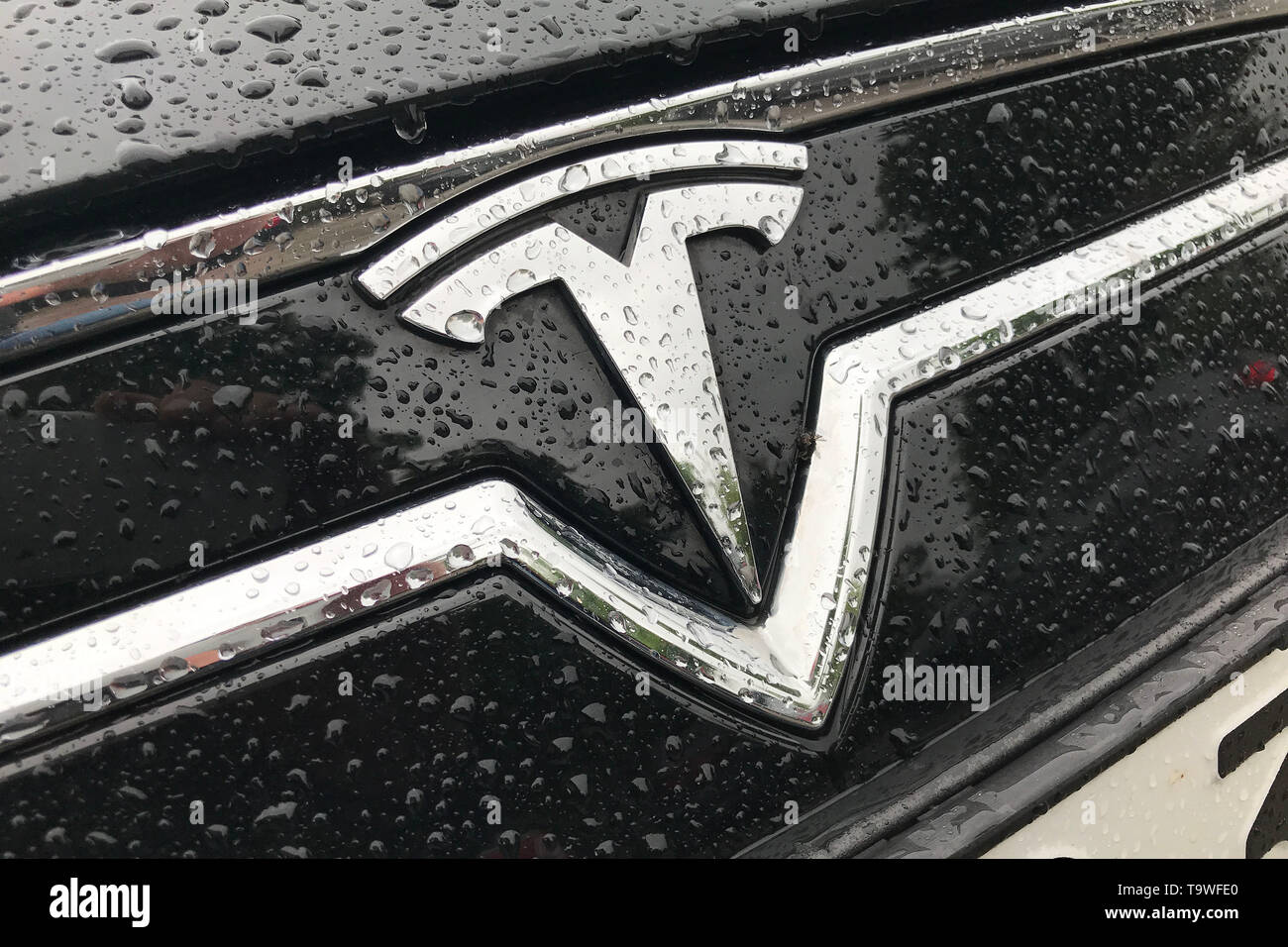 TESLA brand emblem, logo, car make. Car maker, logo, emblem, electric ...