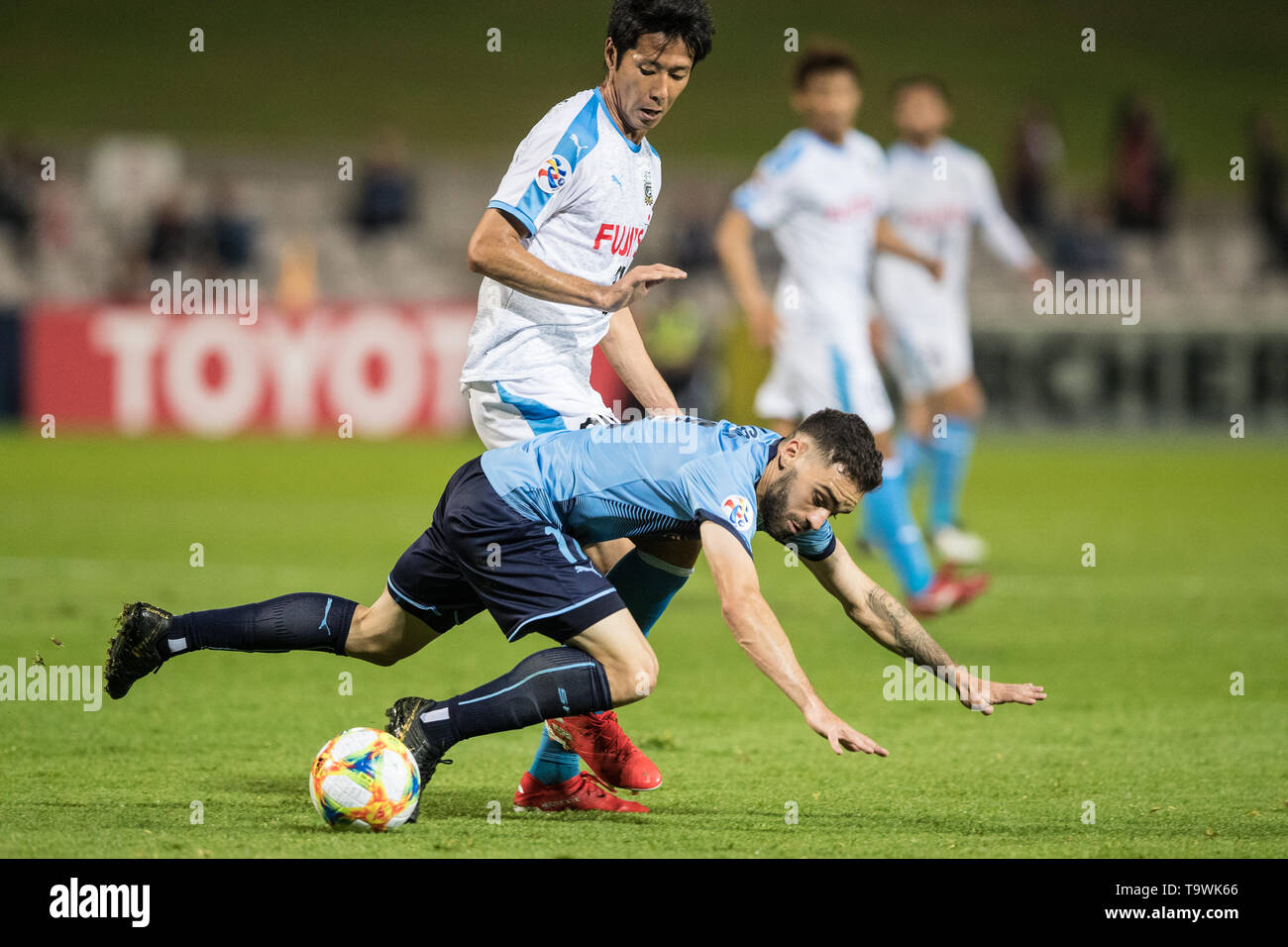 Paulo retre hi-res stock photography and images - Alamy