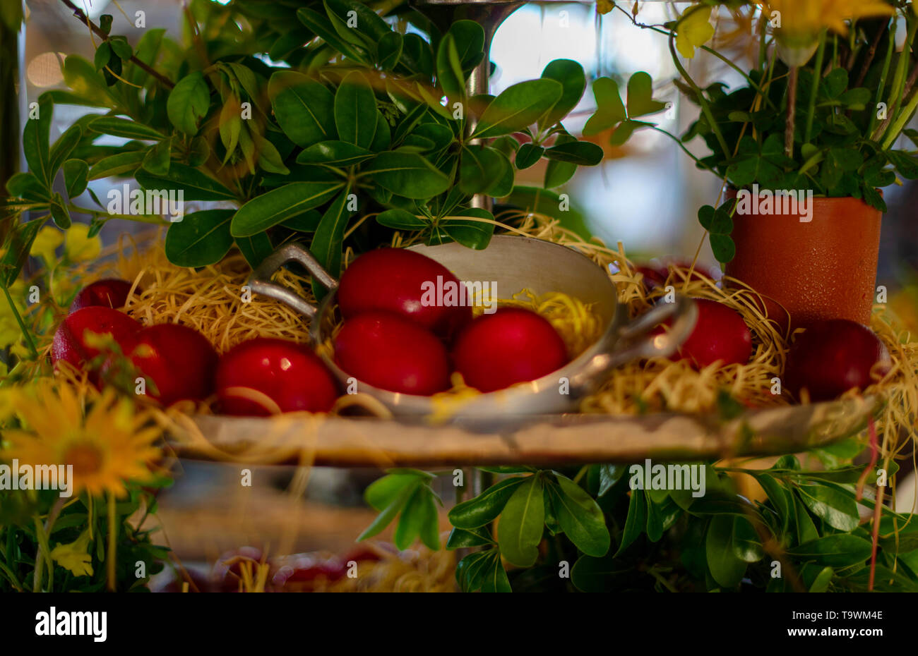 Red orthodox easter eggs hi-res stock photography and images - Alamy