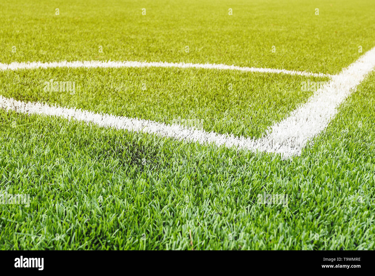 Marking the angle of the football field with artificial surface Stock ...