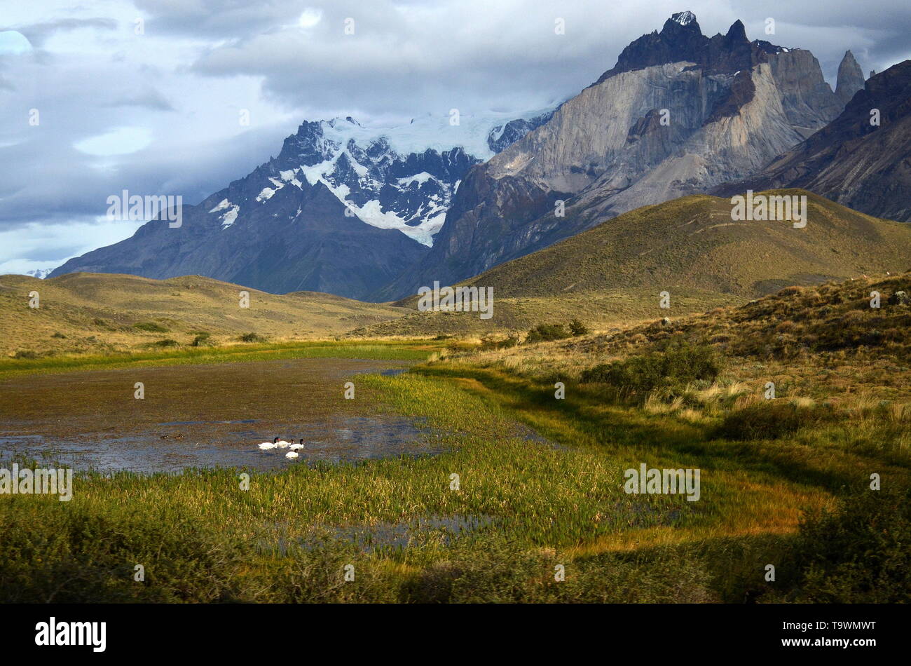 MOUNTAIN SCENERY IN TORRES DEL PAINE NATIONAL PARK, CHILE Stock Photo ...