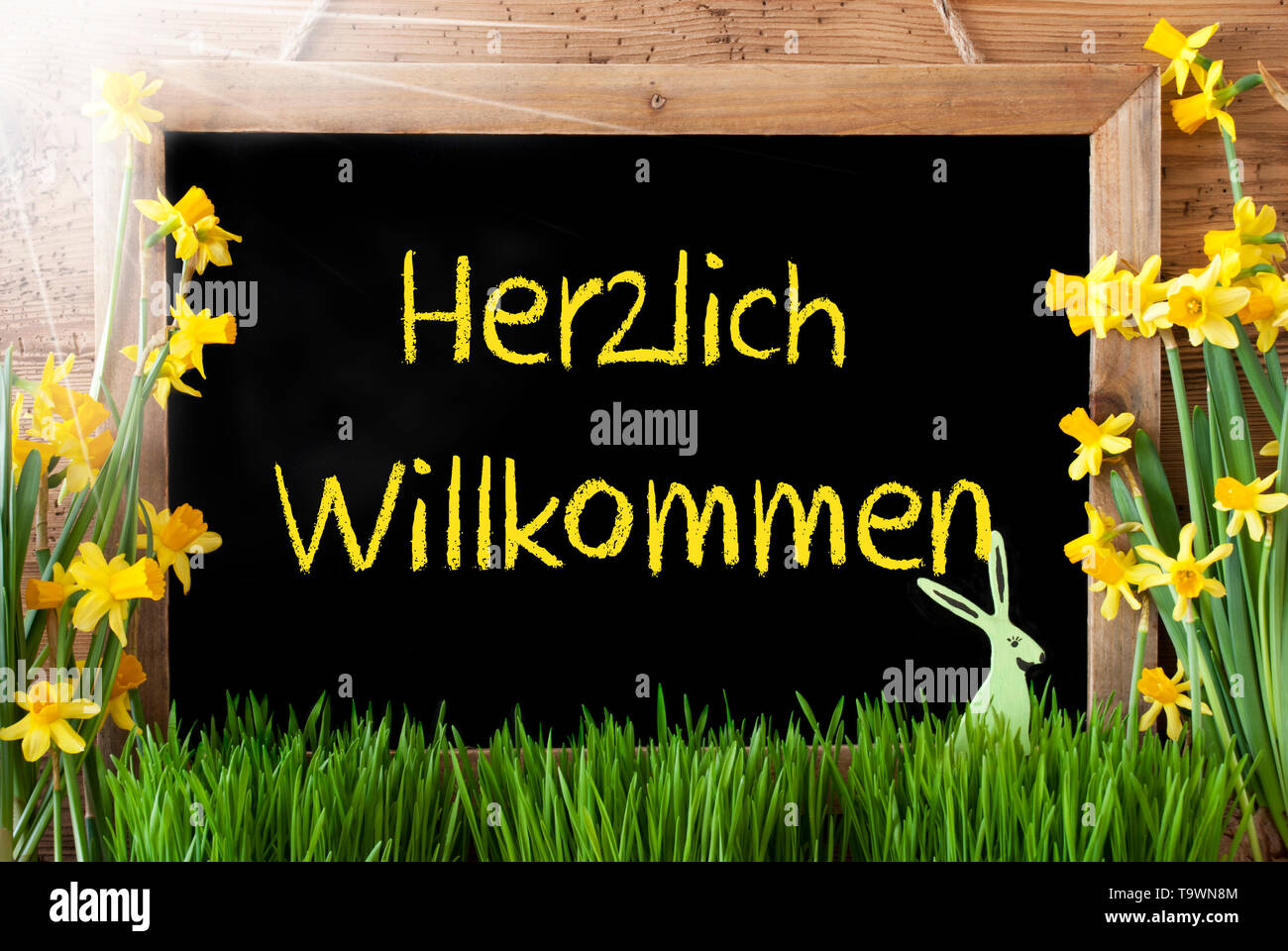 Blackboard With German Text Herzlich Willkommen Means Welcome. Sunny ...
