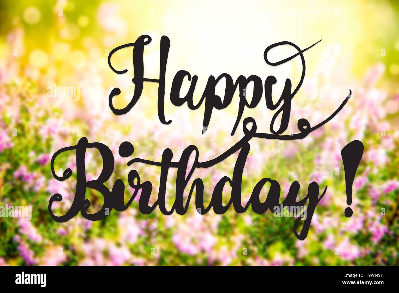 English Calligraphy Happy Birthday. Erica Flower Field Or Meadow. Sunny ...