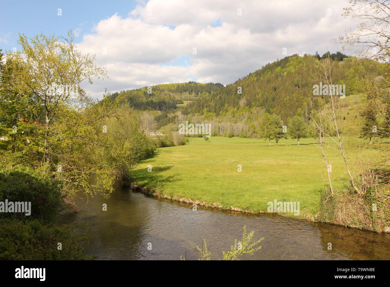 Idyllische Landschaft im Schwarzwald Stock Photo - Alamy
