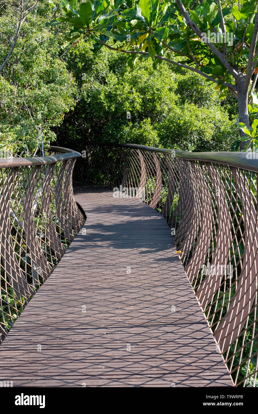 Treetop canopy south africa hi-res stock photography and images - Alamy