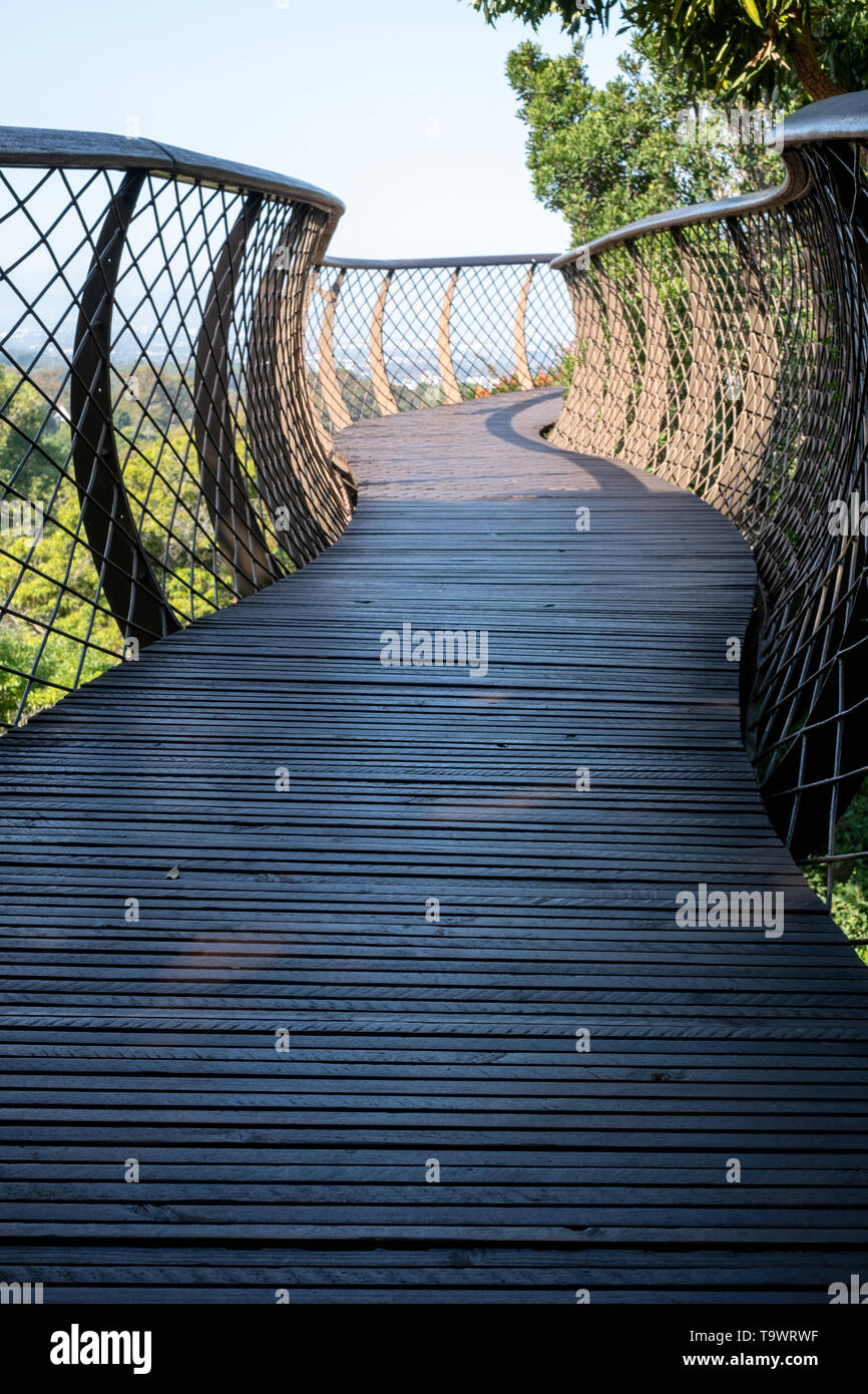 Elevated tree canopy walkway Newlands, Cape Town, South Africa Stock ...