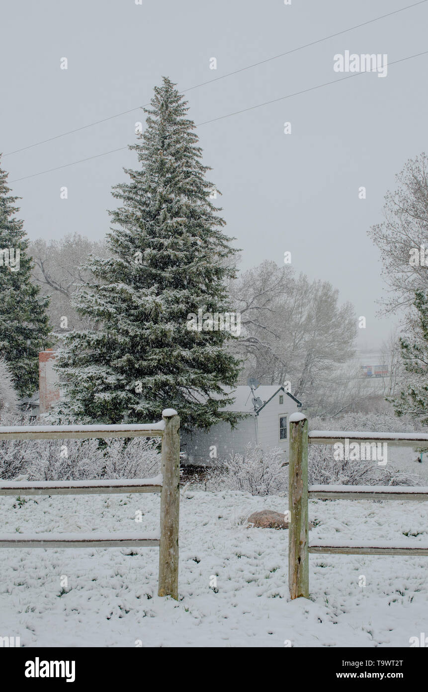 Cheyenne spring hi-res stock photography and images - Alamy