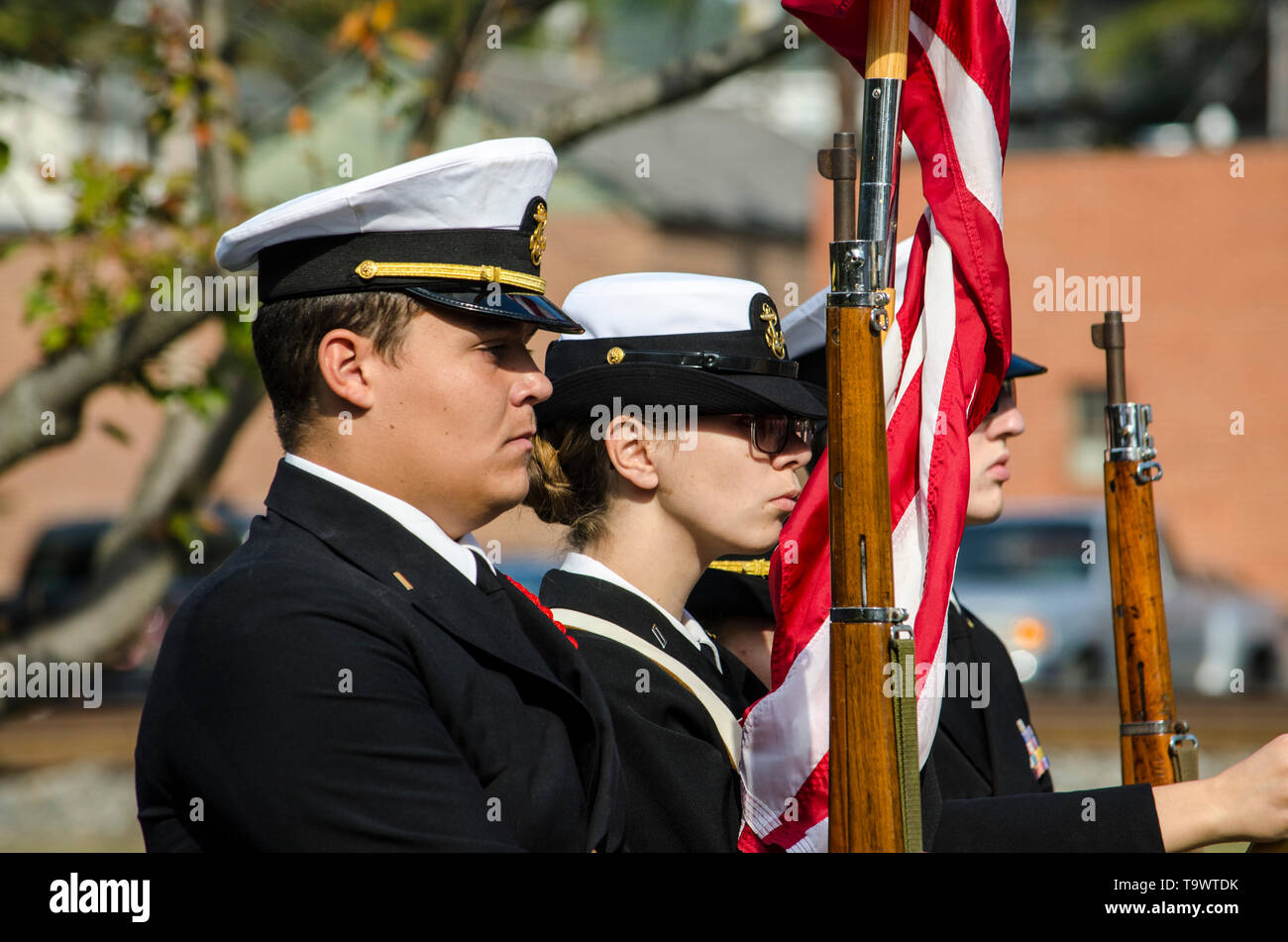 Parade color hi-res stock photography and images - Alamy