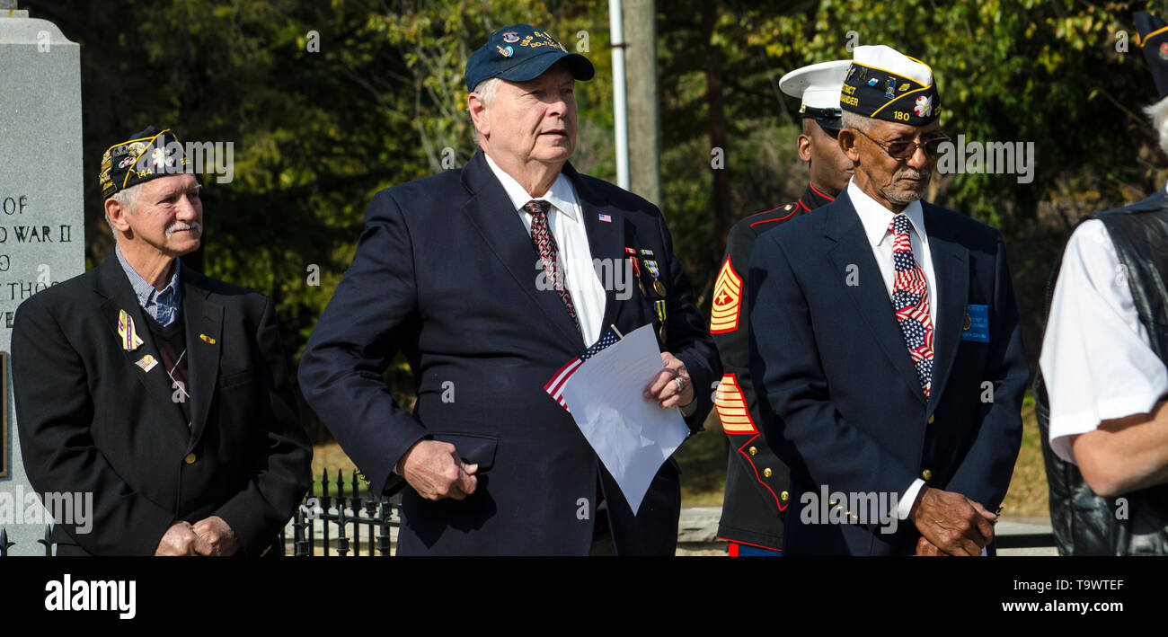 American Veterans Honored at a Veteran’s Day Ceremony Stock Photo - Alamy