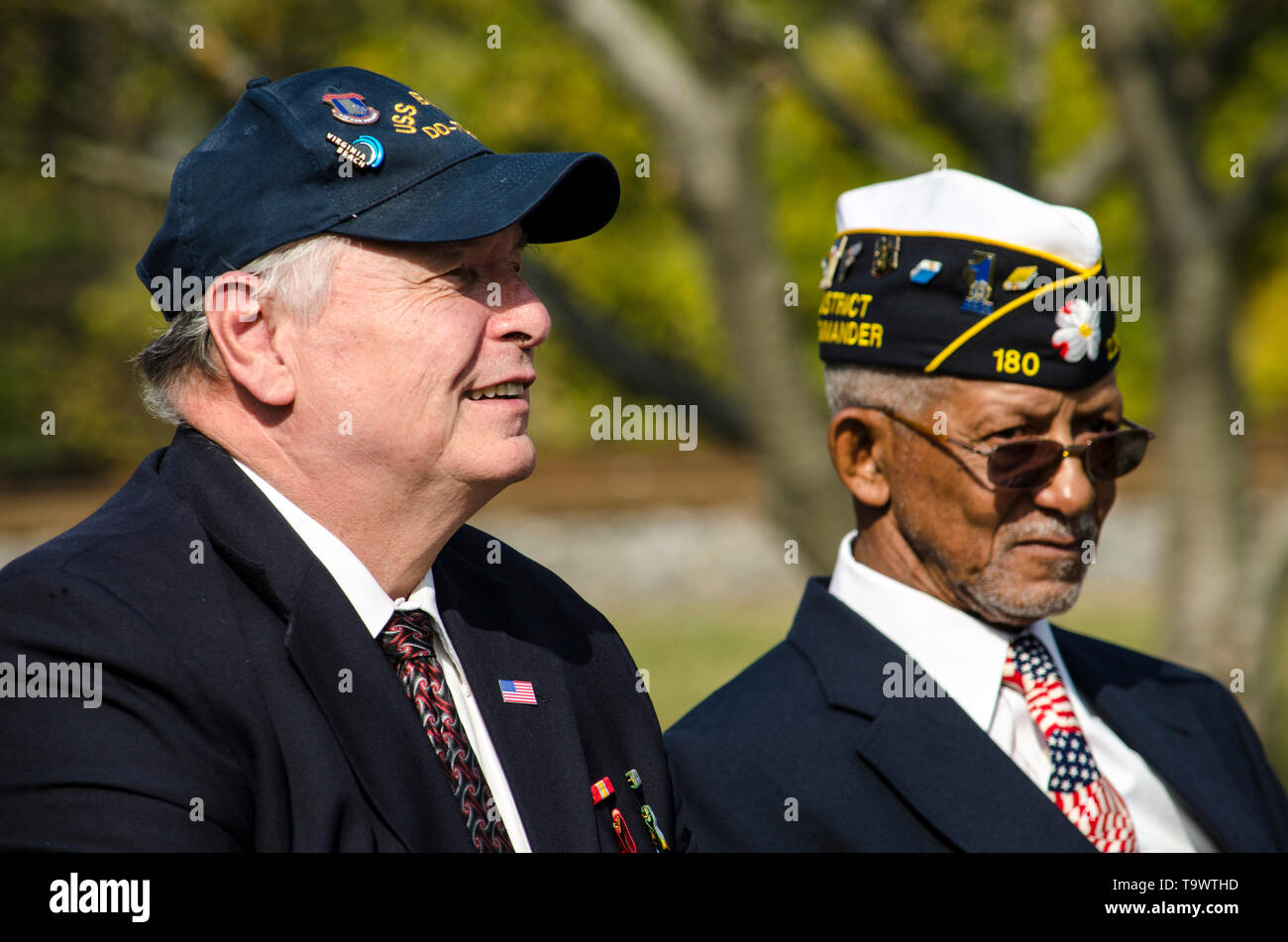 American Veterans Honored at a Veteran’s Day Ceremony Stock Photo - Alamy