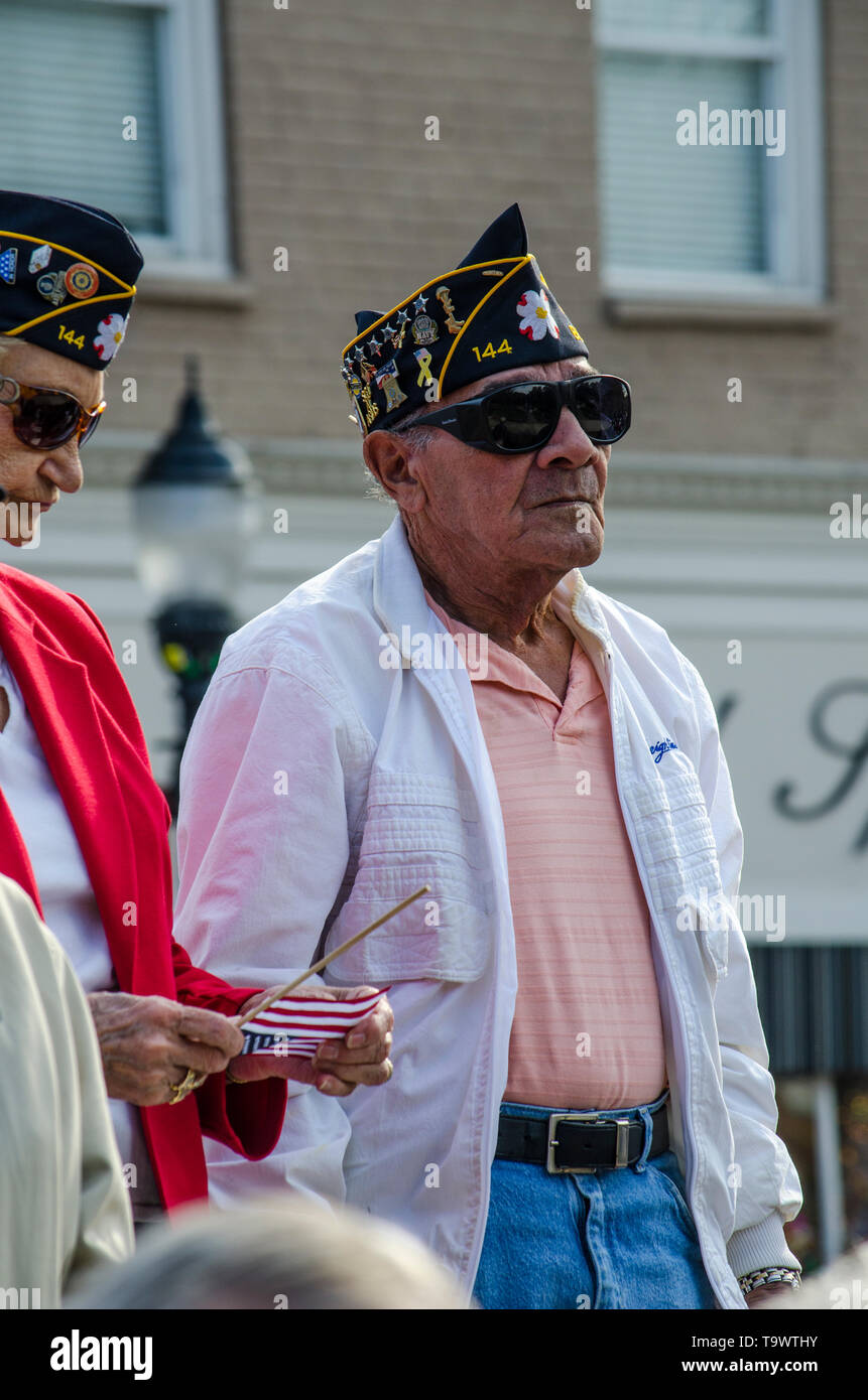 American Veterans Honored at a Veteran’s Day Cermony Stock Photo - Alamy
