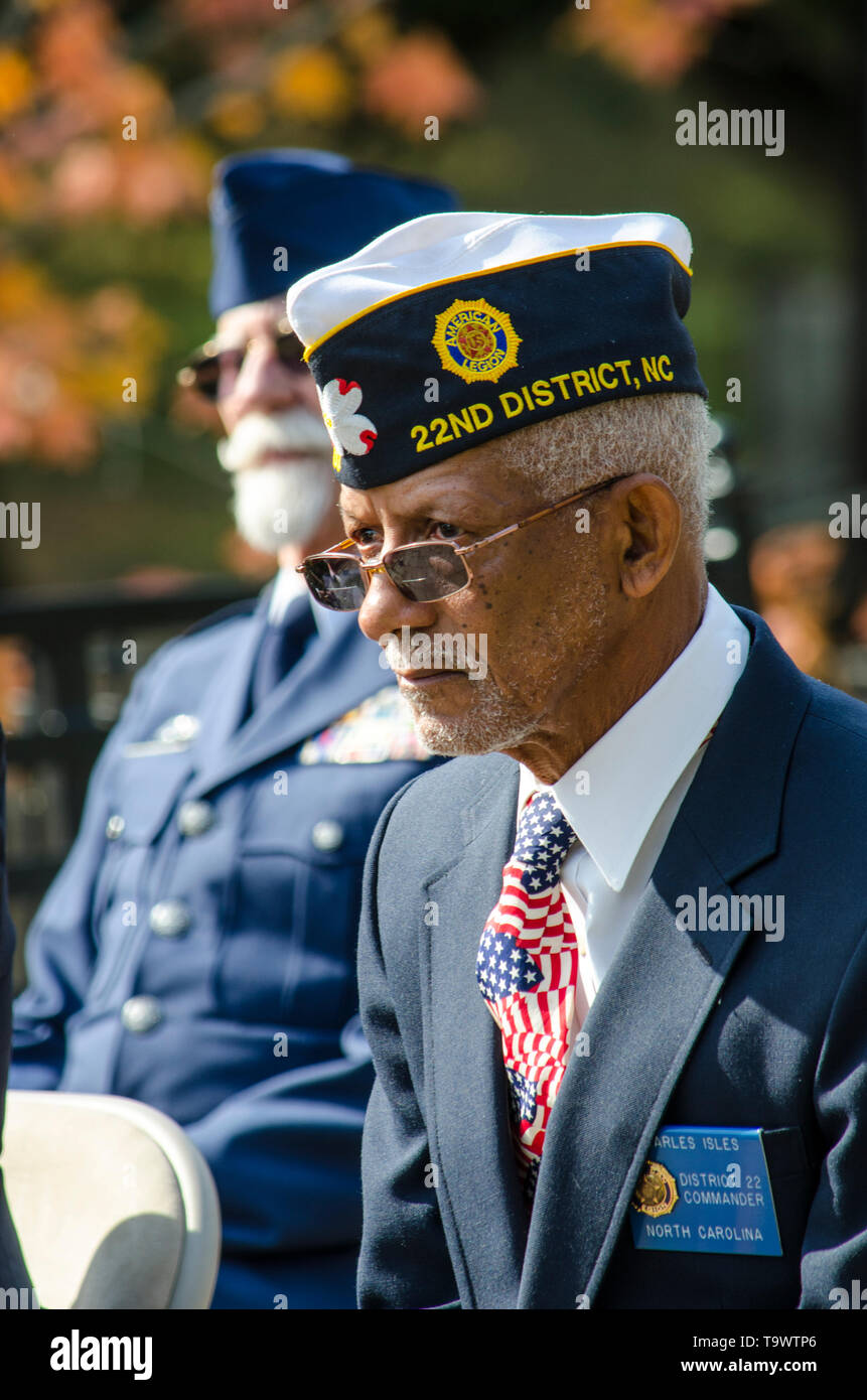 American Veterans Honored at a Veteran’s Day Ceremony Stock Photo - Alamy