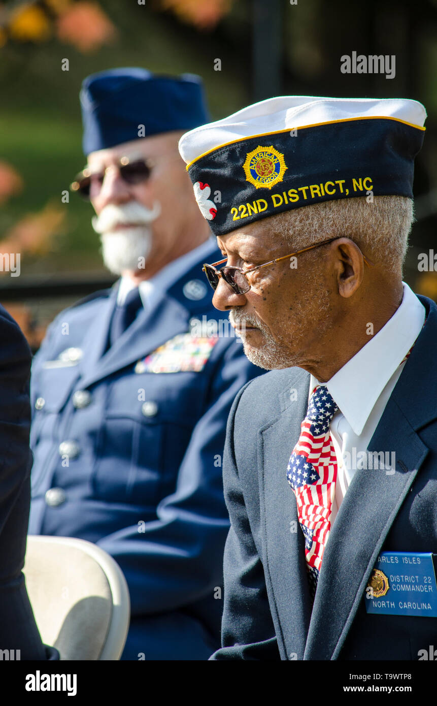 American Veterans Honored at a Veteran’s Day Ceremony Stock Photo - Alamy
