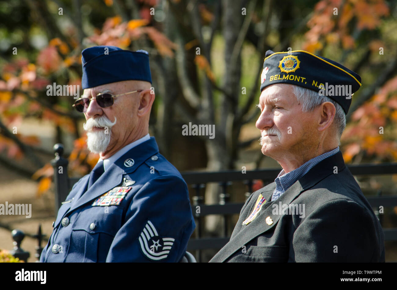 American Veterans Honored at a Veteran’s Day Ceremony Stock Photo - Alamy