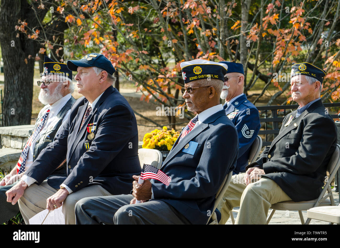 American Veterans Honored at a Veteran’s Day Ceremony Stock Photo - Alamy