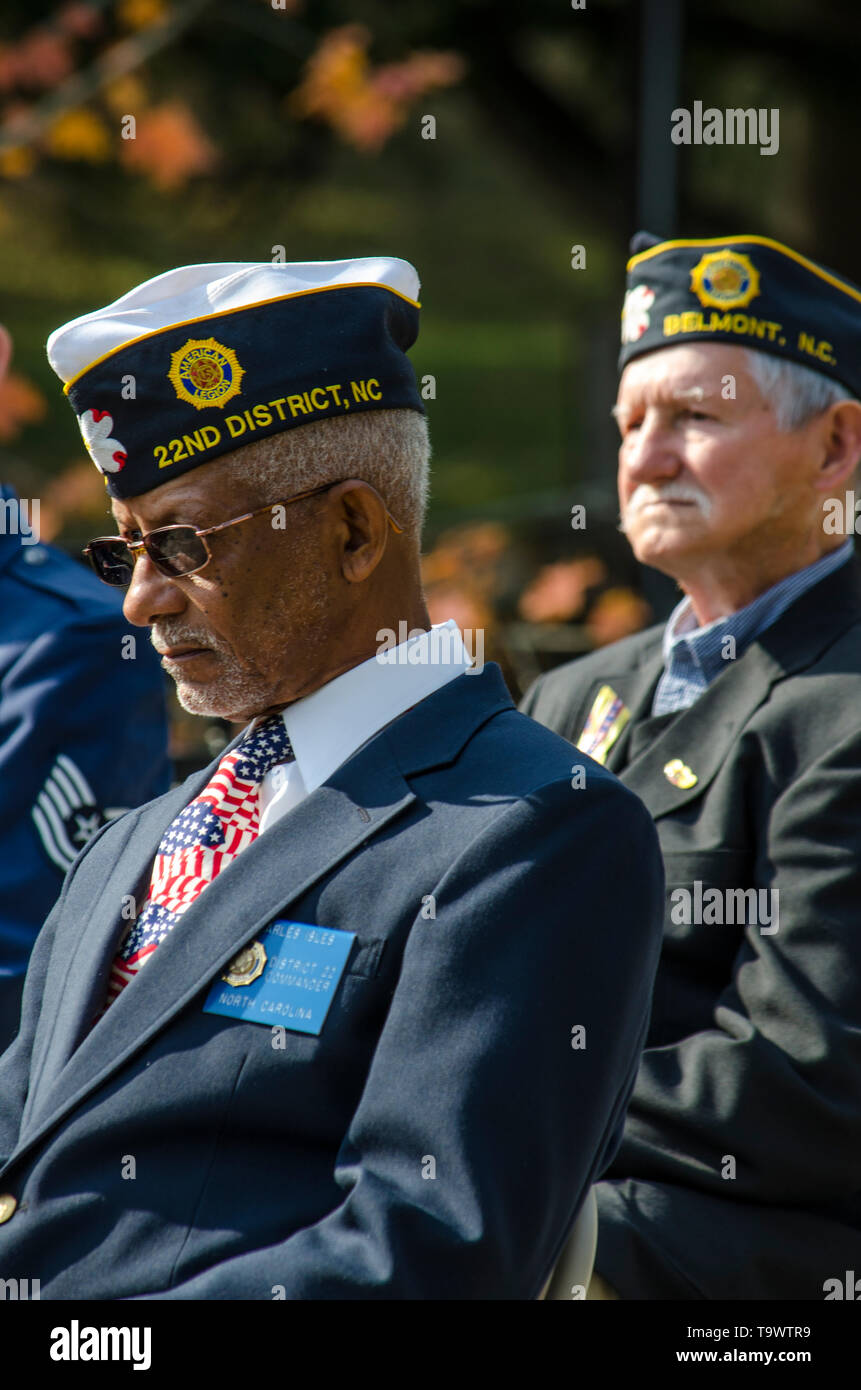 American Veterans Honored at a Veteran’s Day Ceremony Stock Photo - Alamy