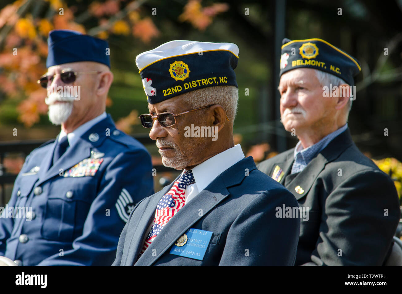 American Veterans Honored at a Veteran’s Day Ceremony Stock Photo - Alamy