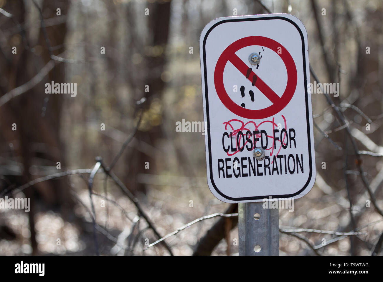 Symbols Signs Warnings Yield Rectangular Forest Path and trail Closed ...