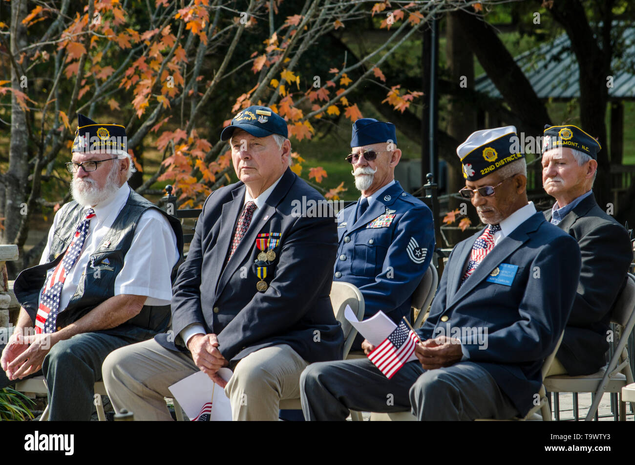 American Veterans Honored at a Veteran’s Day Ceremony Stock Photo - Alamy