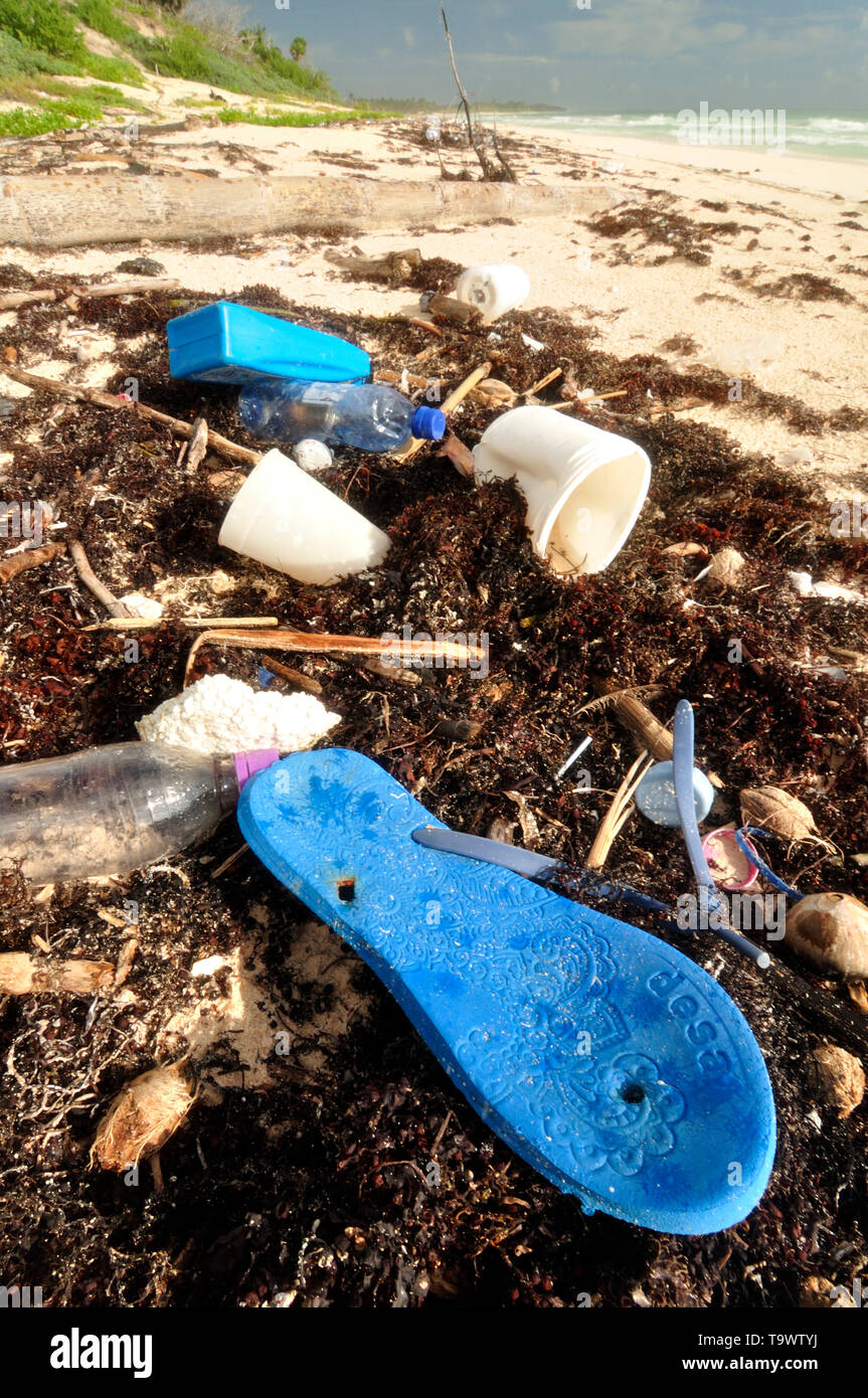 Plastic pollution on the beach within Sian Ka'an Biosphere, Mexico ...