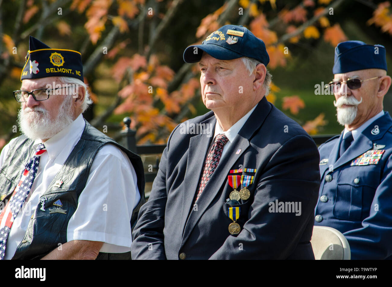 American Veterans Honored at a Veteran’s Day Ceremony Stock Photo - Alamy