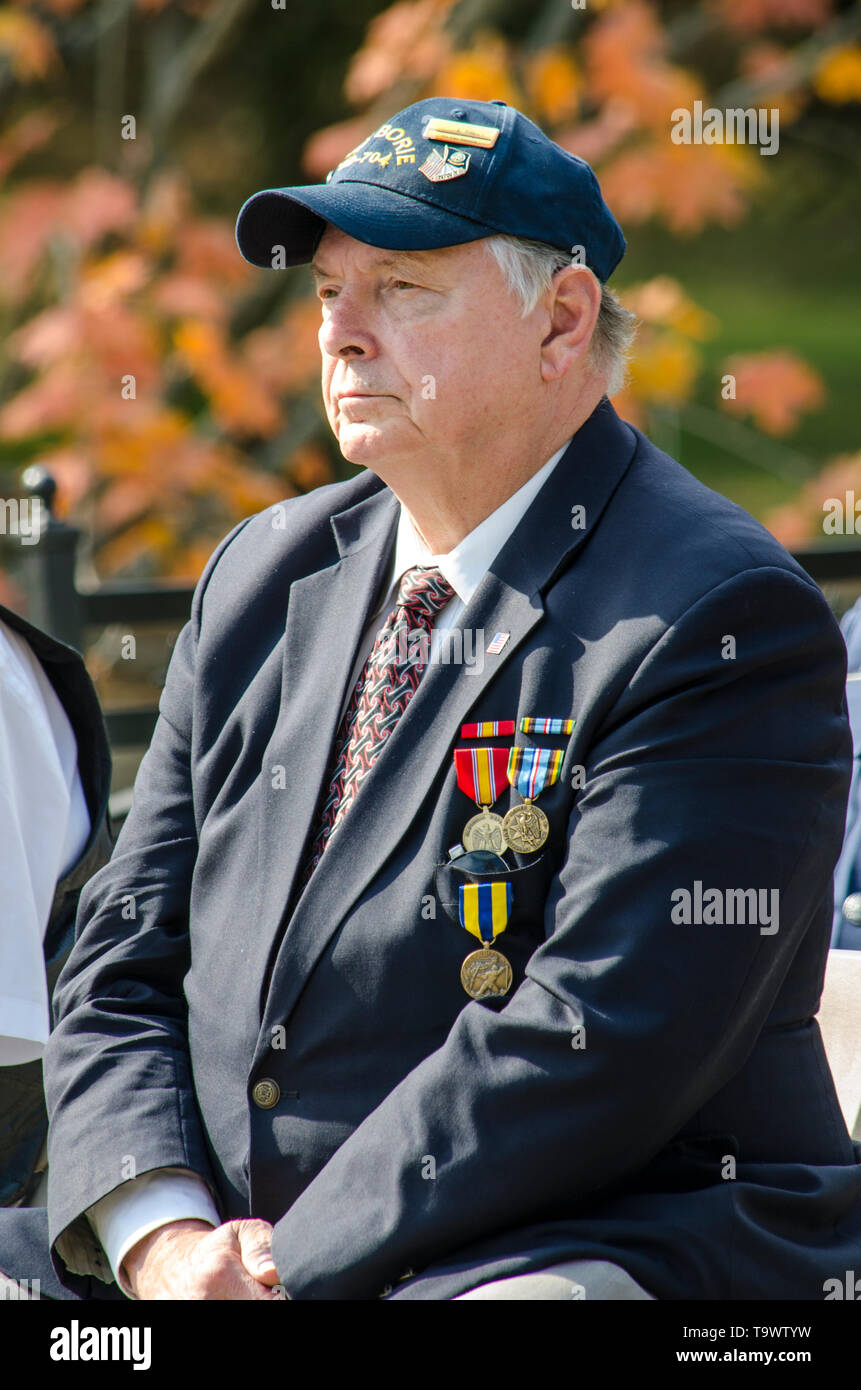 American Veterans Honored at a Veteran’s Day Ceremony Stock Photo - Alamy