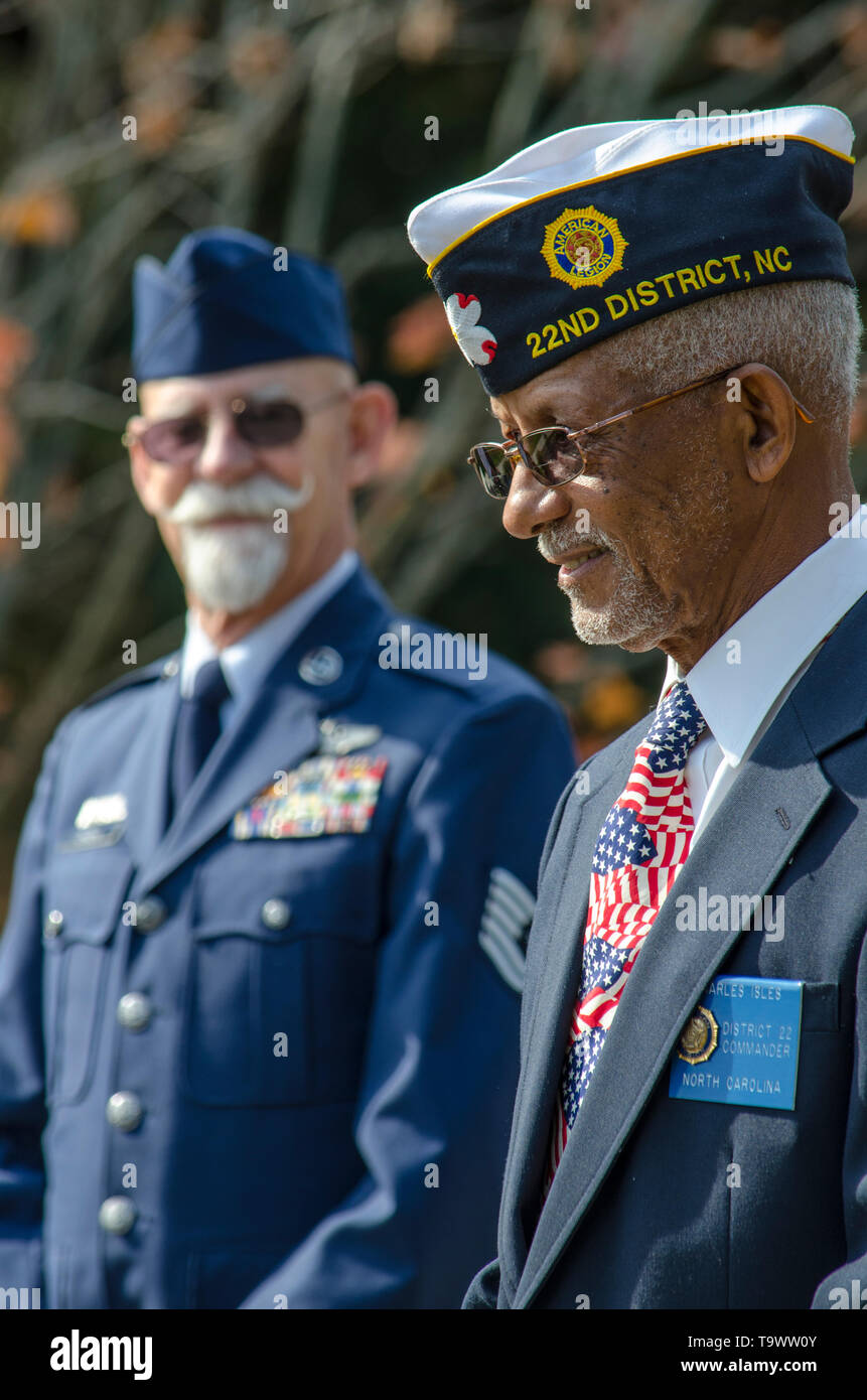 American Veterans Honored at a Veteran’s Day Ceremony Stock Photo - Alamy