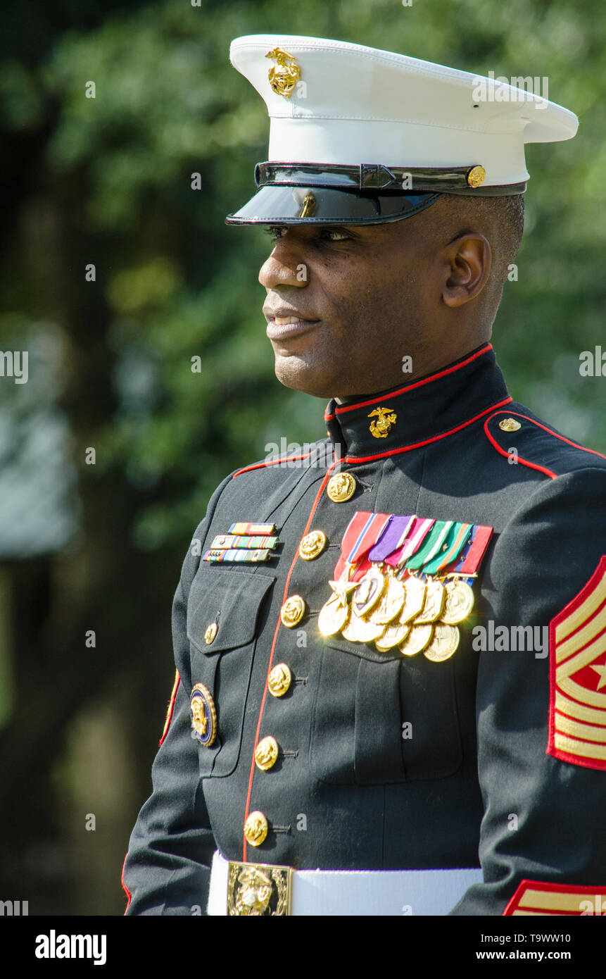 Us marine saluting hi-res stock photography and images - Alamy