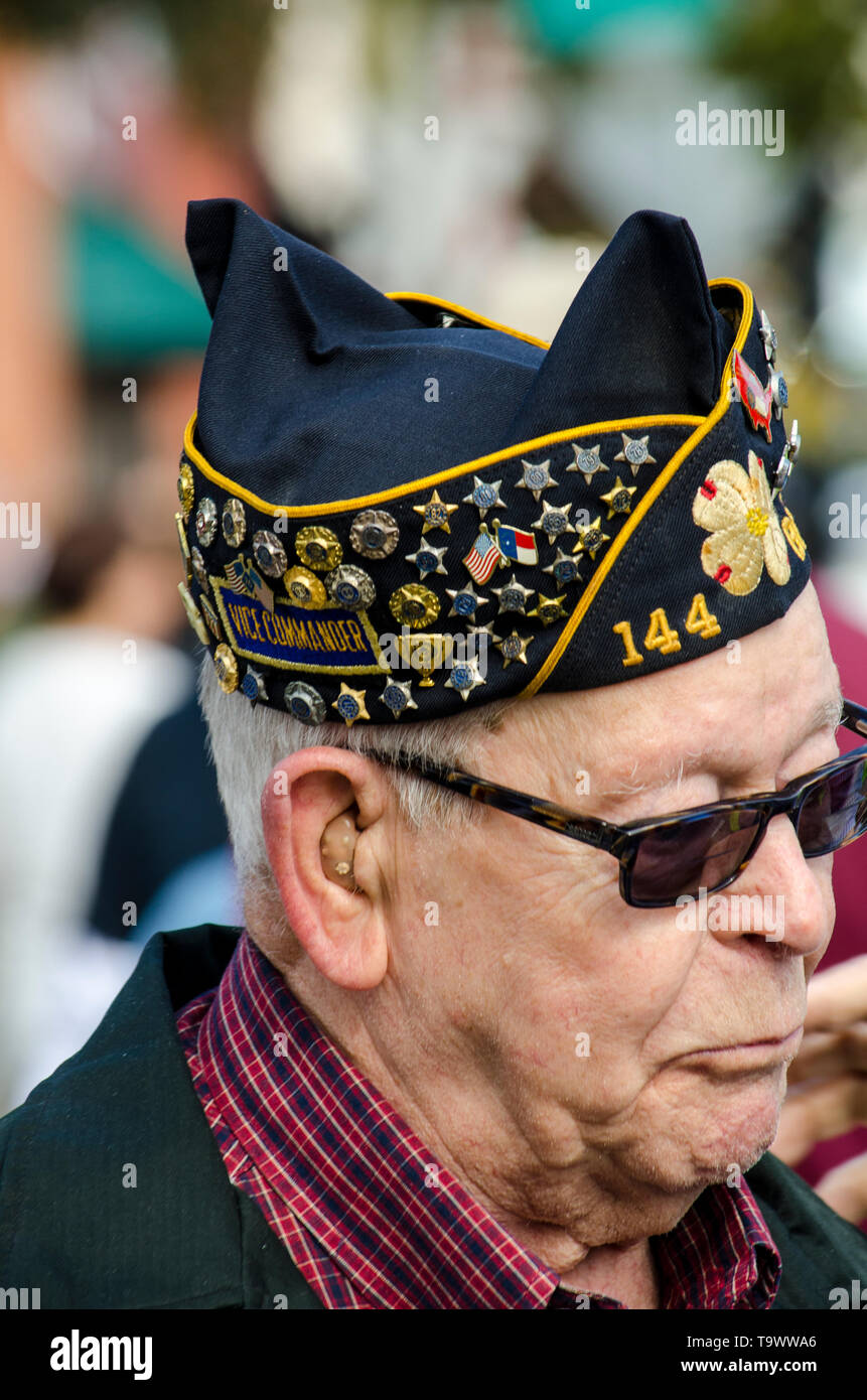 American Veterans Honored at a Veteran’s Day Cermony Stock Photo - Alamy