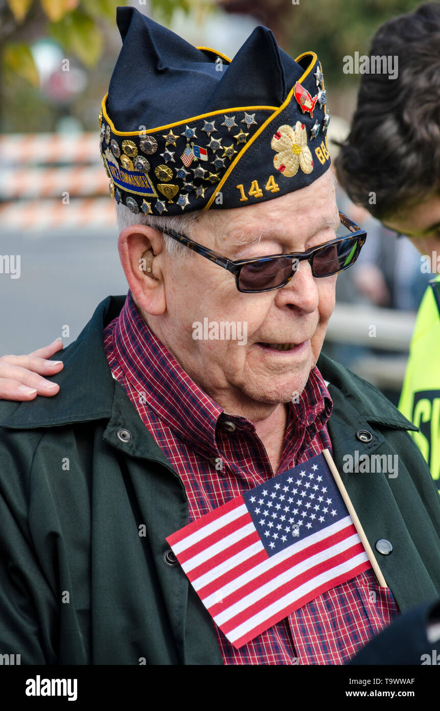 American Veterans Honored at a Veteran’s Day Cermony Stock Photo - Alamy
