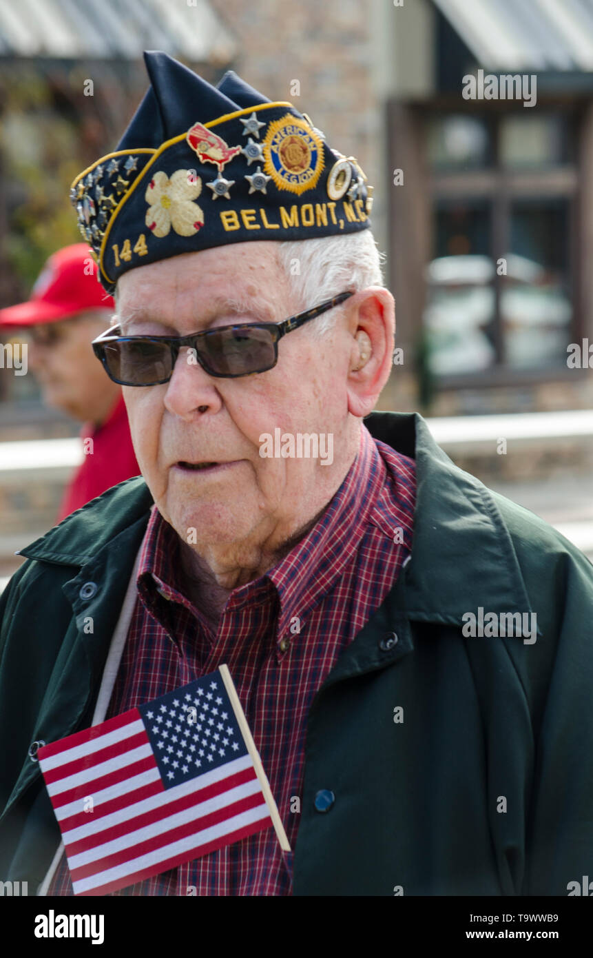 American Veterans Honored at a Veteran’s Day Cermony Stock Photo - Alamy