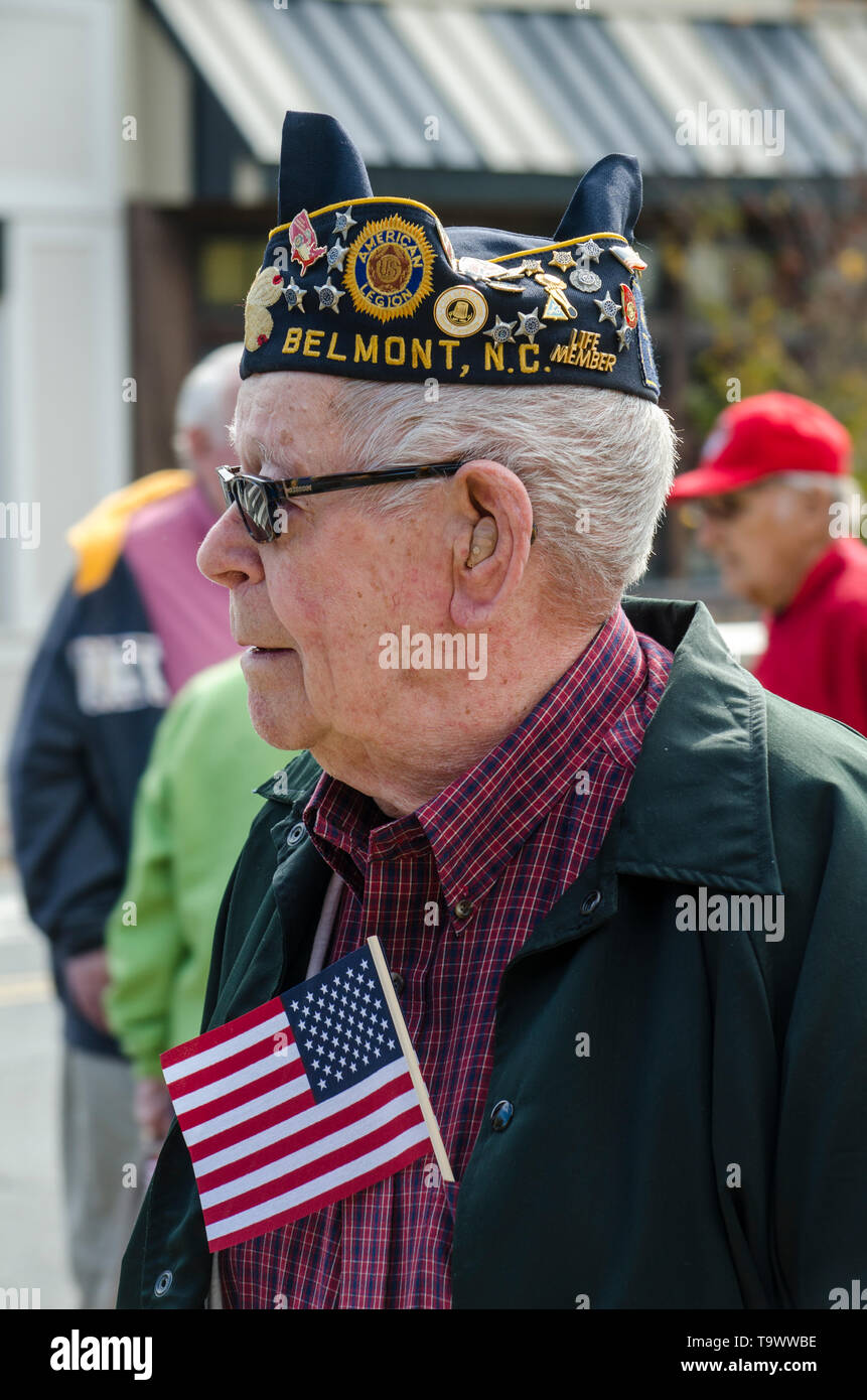 American Veterans Honored at a Veteran’s Day Cermony Stock Photo - Alamy