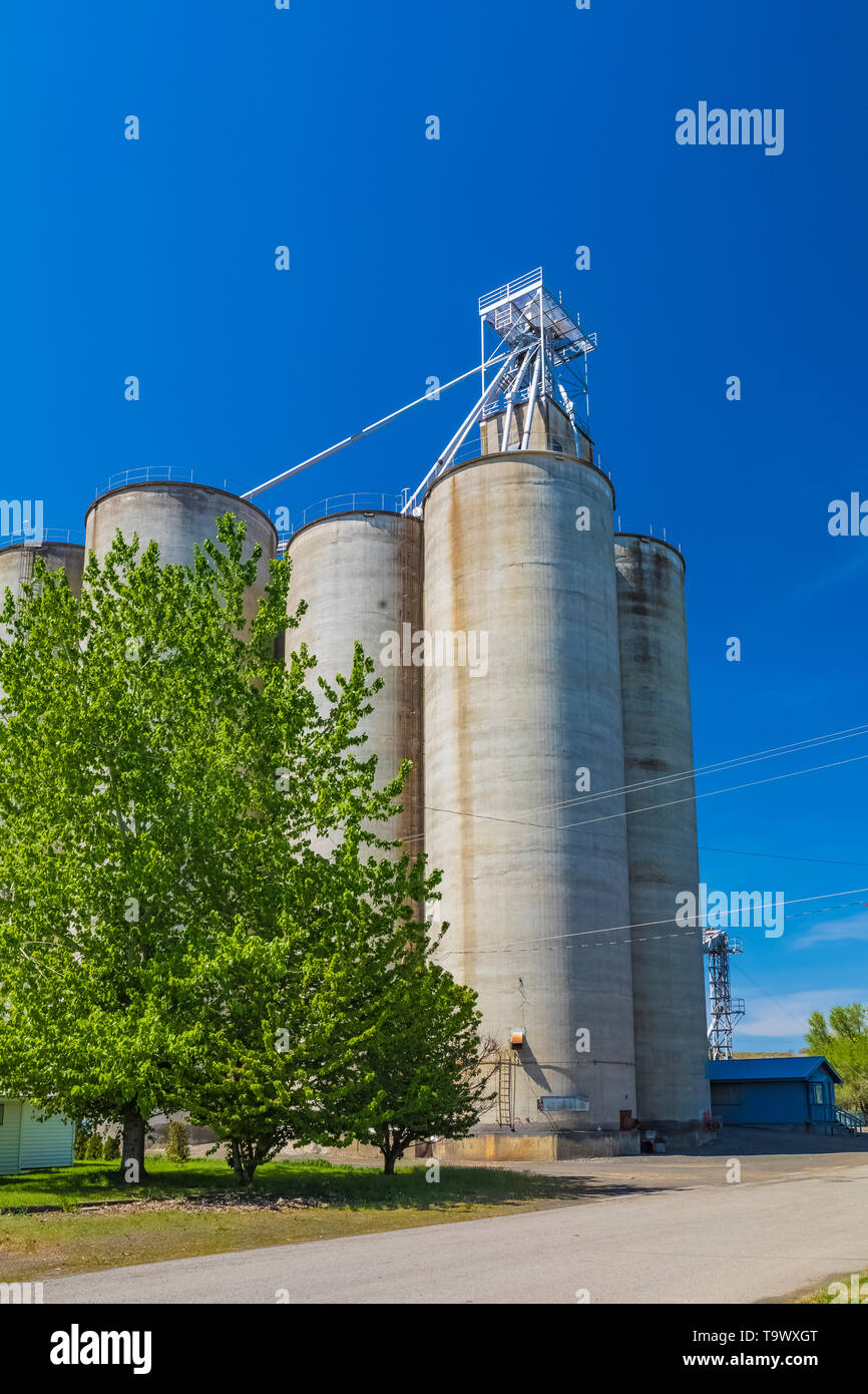 Train loading grain grain elevator hi-res stock photography and images ...